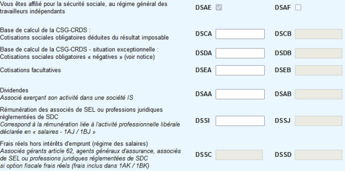 Déclaration fiscale et sociale des indépendants, mode d’emploi et cases à remplir - OMGA AGAPS.L